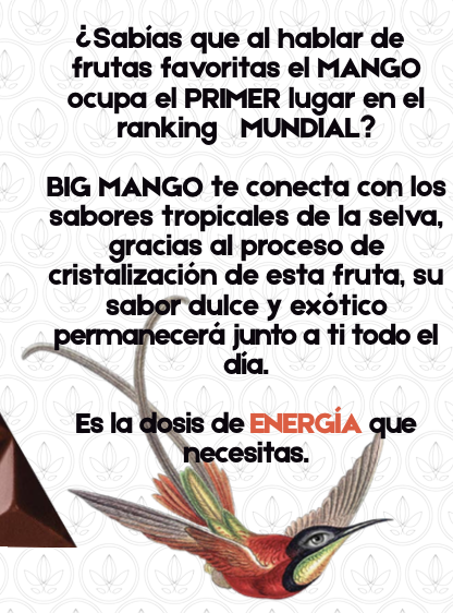 KAMM Chocolate Big Mango 60g